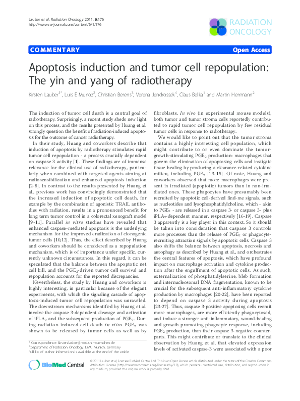 (PDF) Apoptosis induction and tumor cell repopulation: The yin and yang ...