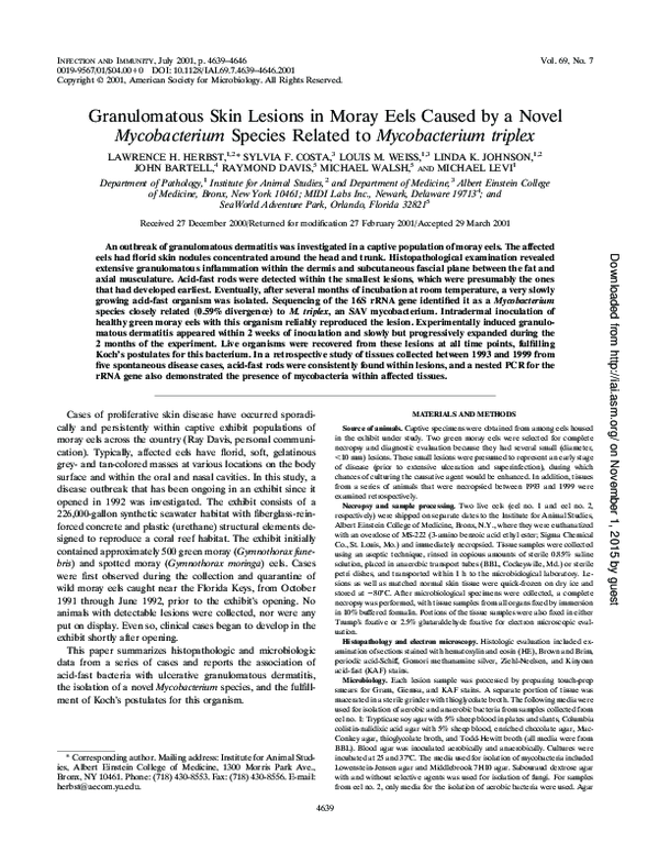(PDF) Granulomatous Skin Lesions in Moray Eels Caused by a Novel ...