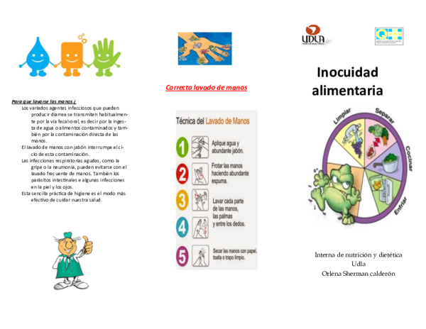 (PDF) Triptico-final-de-inocuidad