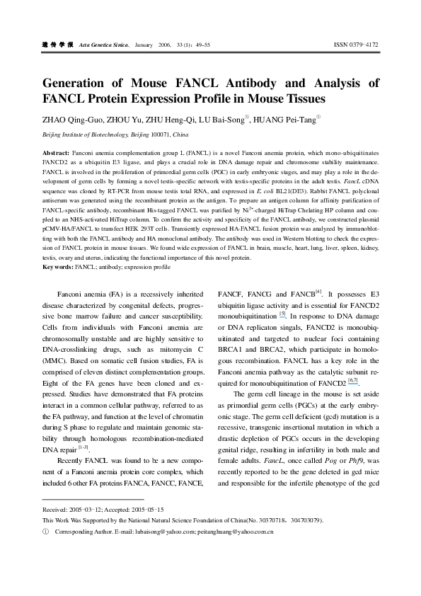 (PDF) Generation of Mouse FANCL Antibody and Analysis of FANCL Protein ...