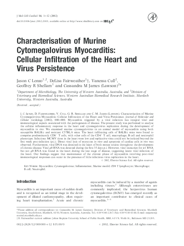 (PDF) Characterisation of Murine Cytomegalovirus Myocarditis: Cellular ...