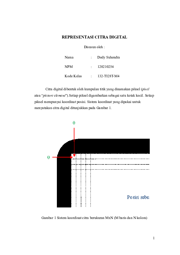 (DOC) TM Pengolahan Citra Digital