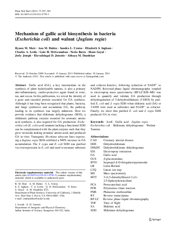 (PDF) Mechanism of gallic acid biosynthesis in bacteria (Escherichia ...