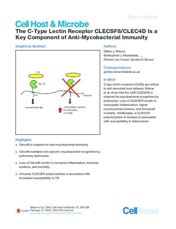 (PDF) The C-Type Lectin Receptor CLECSF8/CLEC4D Is a Key Component of ...
