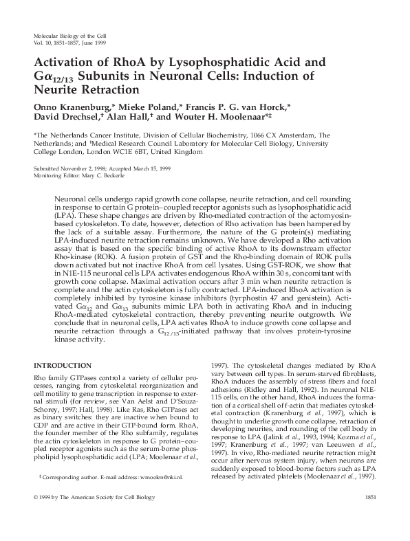 (PDF) Activation of RhoA by Lysophosphatidic Acid and Galpha 12/13 ...