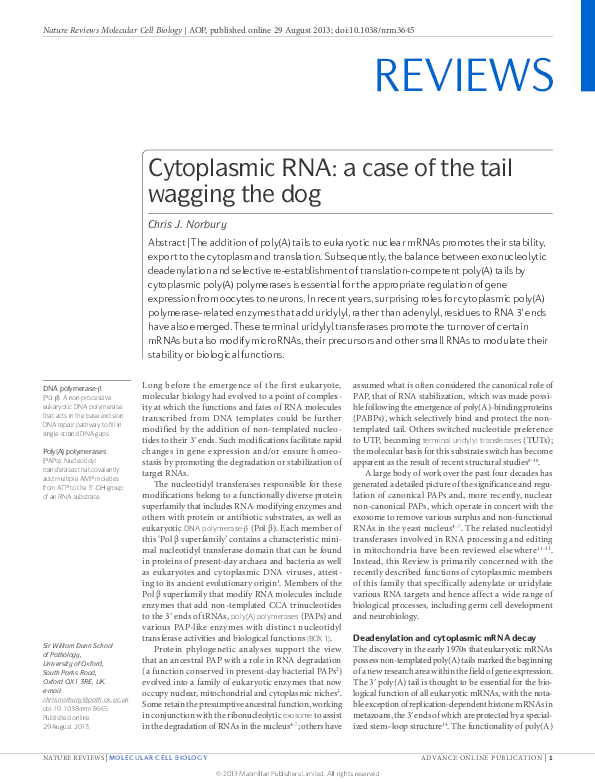 (PDF) Cytoplasmic RNA: a case of the tail wagging the dog