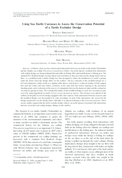 (PDF) Using Sea Turtle Carcasses to Assess the Conservation Potential ...