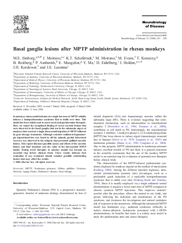 (PDF) Basal ganglia lesions after MPTP administration in rhesus monkeys