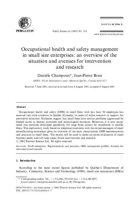 (PDF) Occupational health and safety management in small size ...