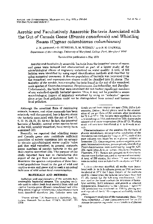 (PDF) Aerobic and facultatively anaerobic bacteria associated with the ...