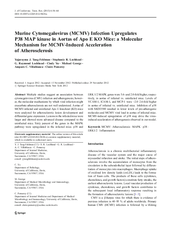 (PDF) Murine cytomegalovirus (MCMV) infection upregulates P38 MAP ...