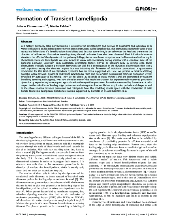 (PDF) Formation of Transient Lamellipodia