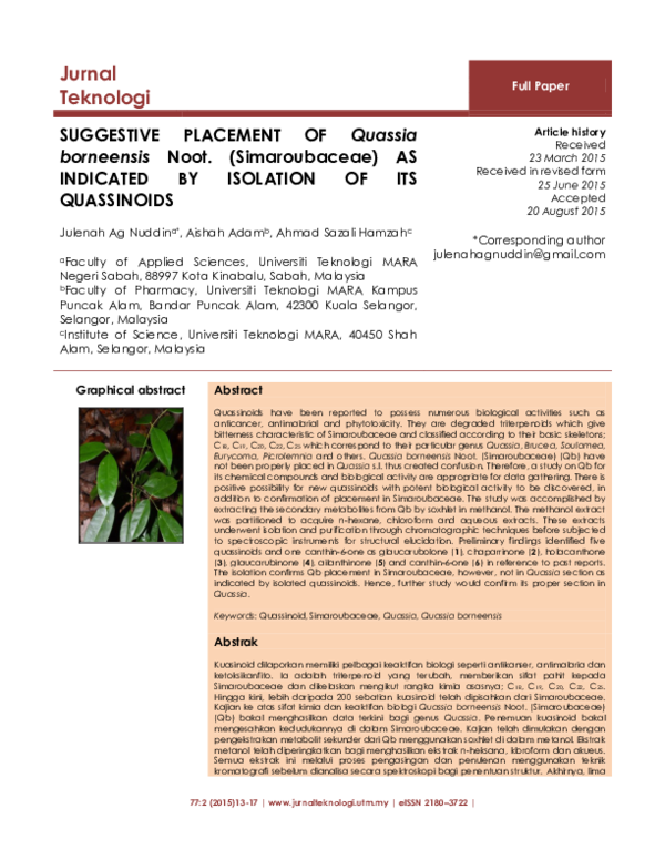 (PDF) SUGGESTIVE PLACEMENT OF Quassia borneensis Noot. (Simaroubaceae ...