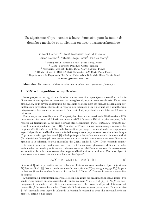 (PDF) Un algorithme d’optimisation à haute dimension pour la fouille de ...