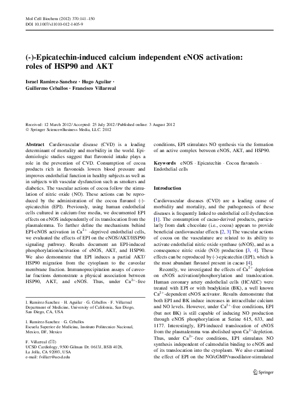 (PDF) (-)-Epicatechin-induced calcium independent eNOS activation ...