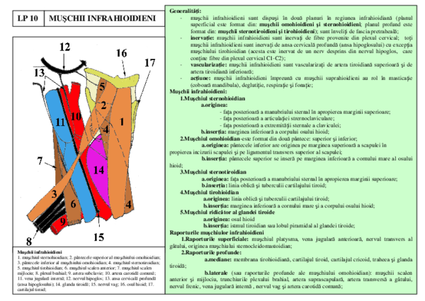 (PDF) LP10 SEM2 BURCIN