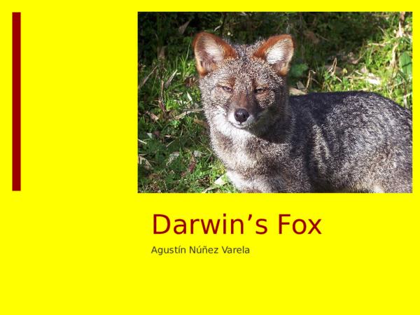 (PPT) Darwins fox