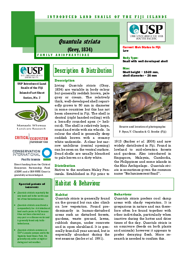 (PDF) Quantula striata (Gray, 1834). Family Ariophantidae