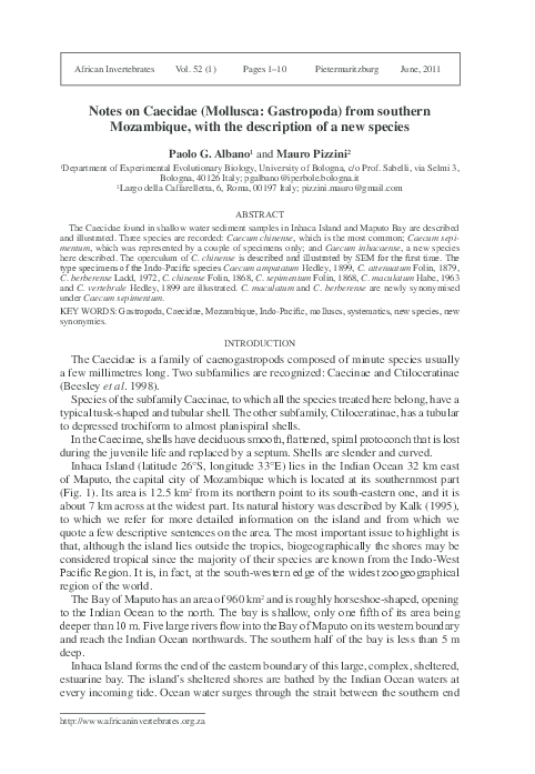 (PDF) Notes on Caecidae (Mollusca: Gastropoda) from Southern Mozambique ...
