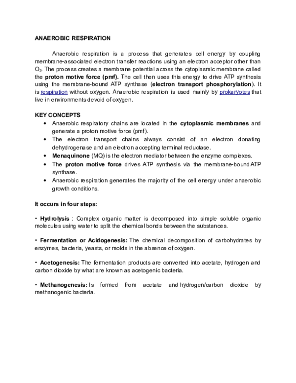 example of anaerobic respiration