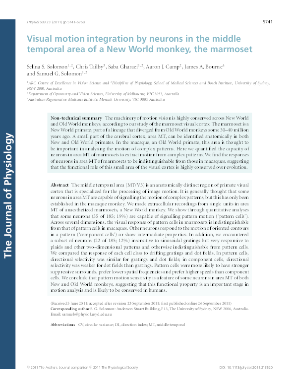 (PDF) Visual motion integration by neurons in the middle temporal area of a New World monkey ...