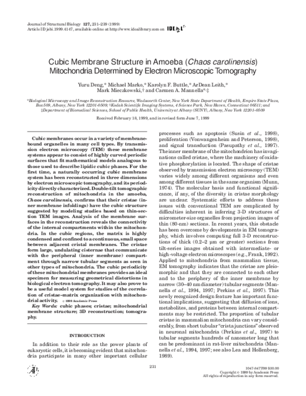 (PDF) Cubic Membrane Structure in Amoeba (Chaos carolinensis ...