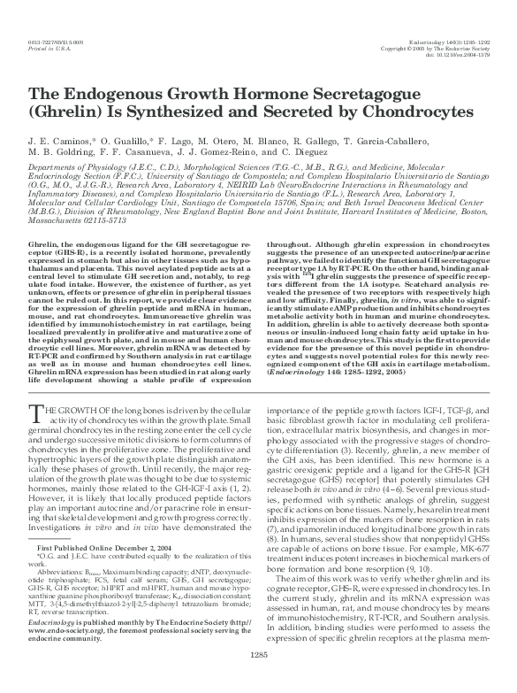 (PDF) The Endogenous Growth Hormone Secretagogue (Ghrelin) Is ...