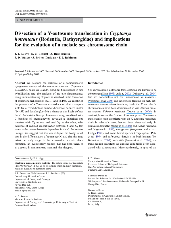 (PDF) Dissection of a Y-autosome translocation in Cryptomys hottentotus ...
