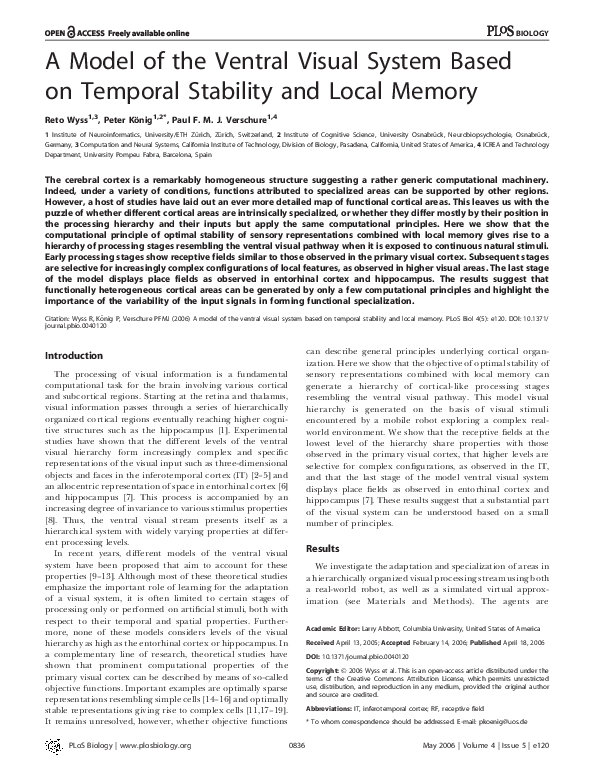 (PDF) A Model of the Ventral Visual System Based on Temporal Stability and Local Memory