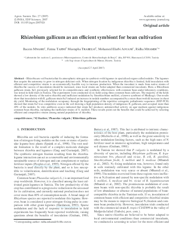 (PDF) Rhizobium gallicum as an efficient symbiont for bean cultivation