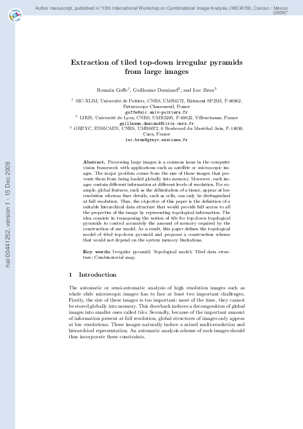 (PDF) Extraction of tiled top-down irregular pyramids from large images | Luc Brun - Academia.edu