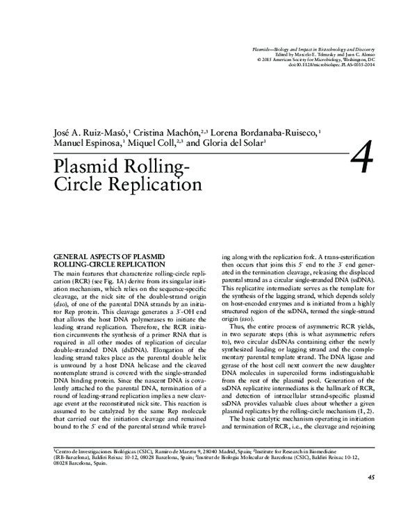Plasmid Rolling-Circle Replication
