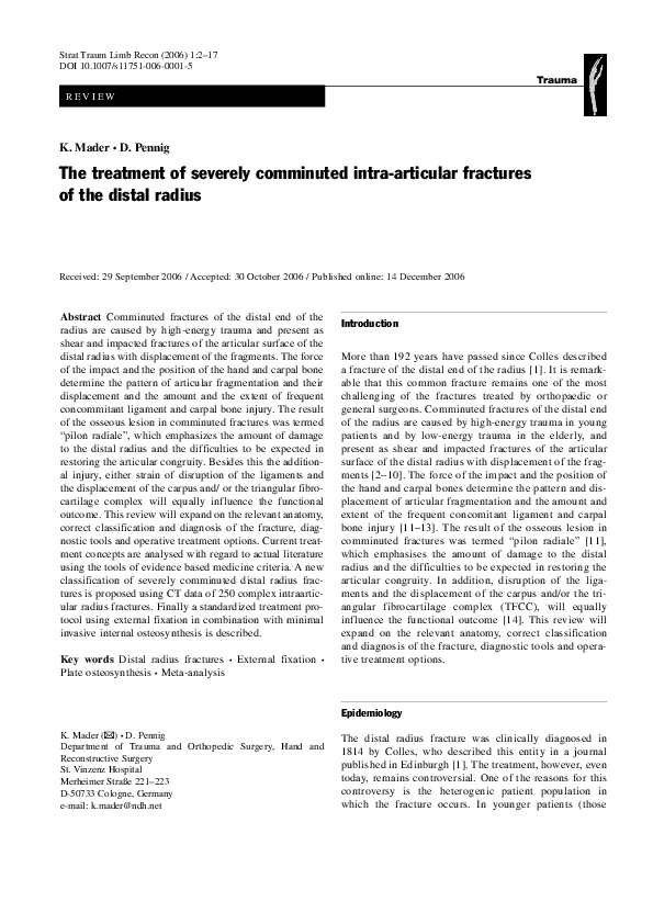 (PDF) The treatment of severely comminuted intra-articular fractures of ...