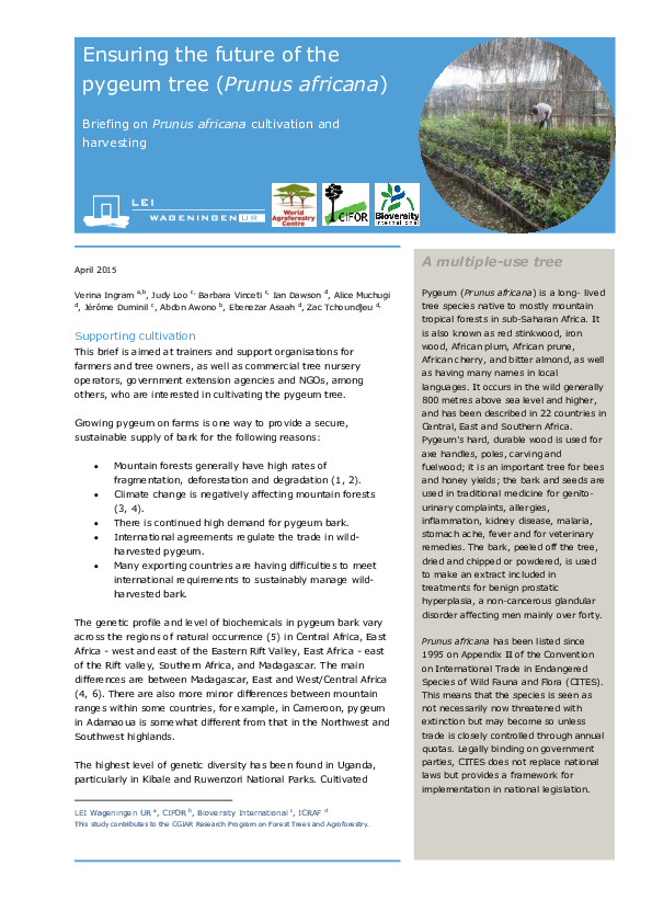 (PDF) Ensuring the future of the pygeum tree (Prunus africana ...