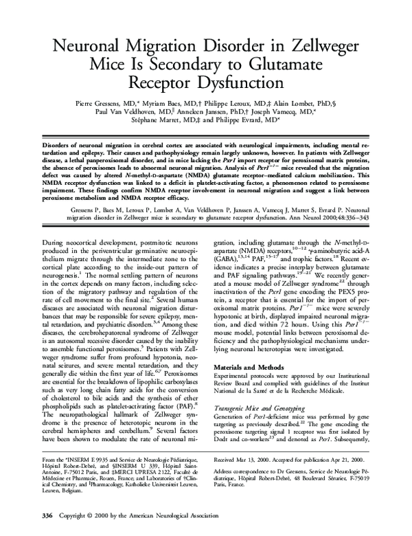(PDF) Neuronal migration disorder in Zellweger mice is secondary to ...