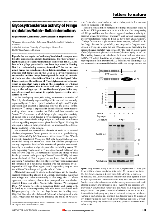 (PDF) Glycosyltransferase activity of Fringe modulates Notch–Delta ...