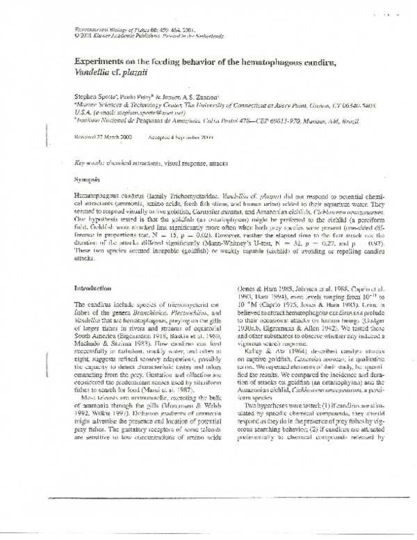 ant behavior experiments