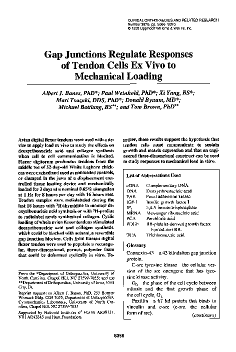 (PDF) Gap Junctions Regulate Responses of Tendon Cells Ex Vivo to ...
