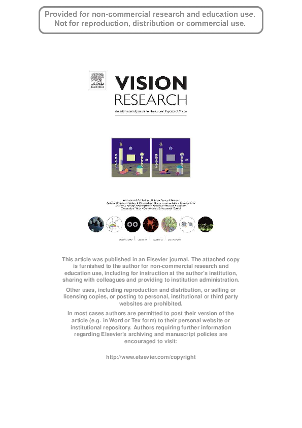 Pdf Classification Images Reveal Spatiotemporal Contour Interpolation