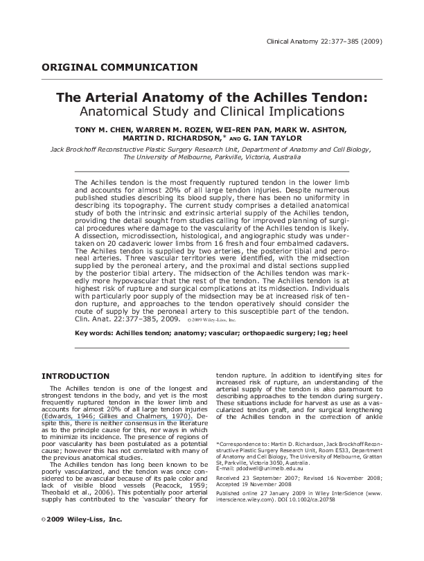 (PDF) The arterial anatomy of the Achilles tendon: Anatomical study and ...