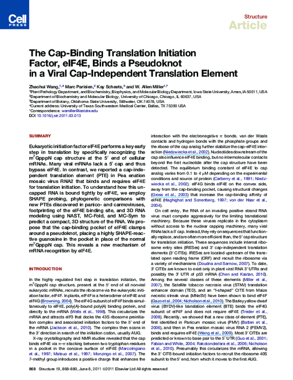 (PDF) The Cap-Binding Translation Initiation Factor, eIF4E, Binds a ...