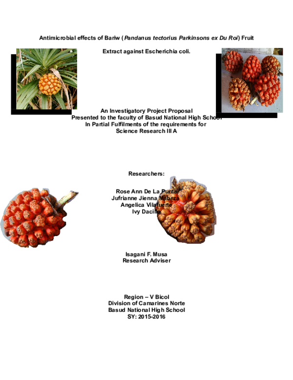 (DOC) "Antimicrobial effects of Bariw (Pandanus tectorius Parkinsons ex ...