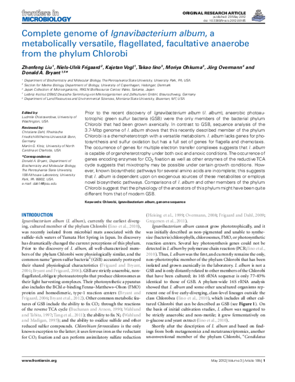 (PDF) Complete Genome of Ignavibacterium album, a Metabolically ...