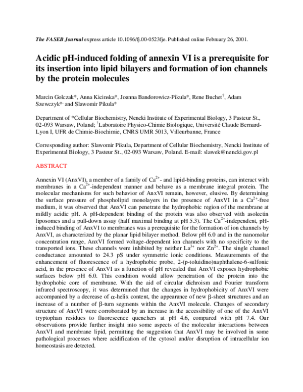 (PDF) Acidic pH-induced folding of annexin VI is a prerequisite for its ...