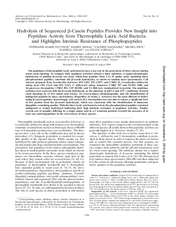 (PDF) Hydrolysis of Sequenced b-Casein Peptides Provides New Insight ...