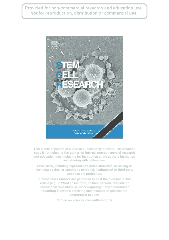 Pdf Barth Syndrome Different Approaches To Diagnosis Akira Ohtake