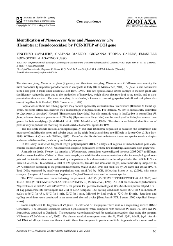 (PDF) PCR-RFLP Identification of Mealybug Species