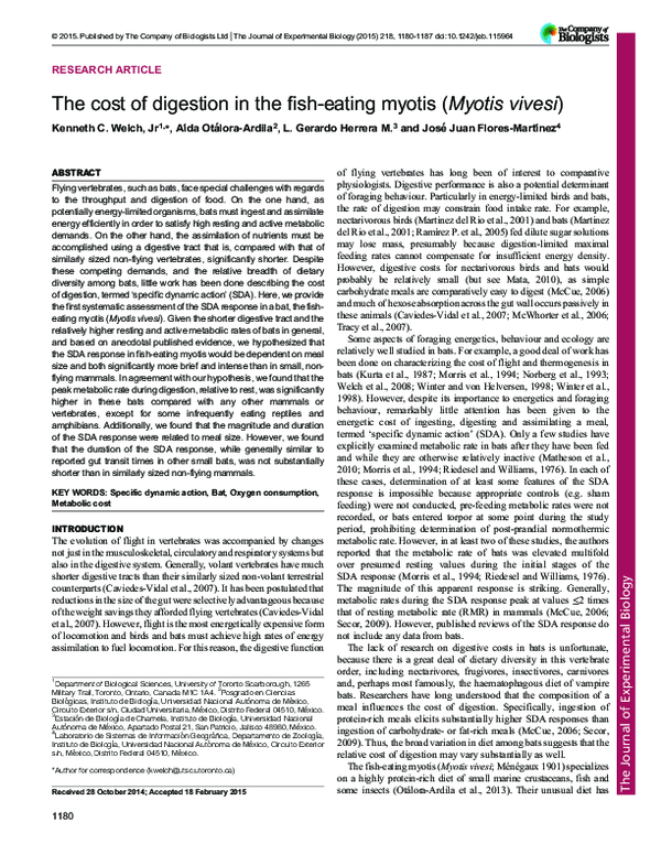 (PDF) The cost of digestion in the fish-eating myotis (Myotis vivesi)