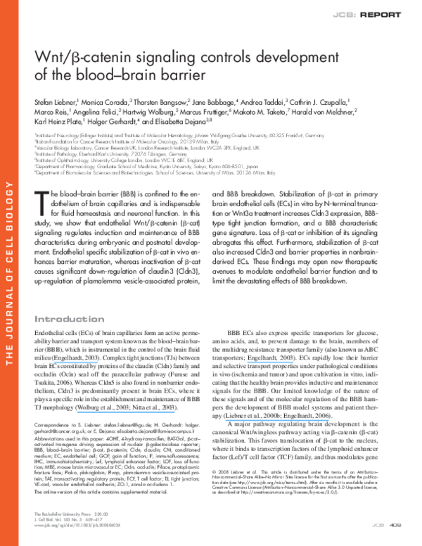 (PDF) Wnt/ -catenin signaling controls development of the blood-brain ...
