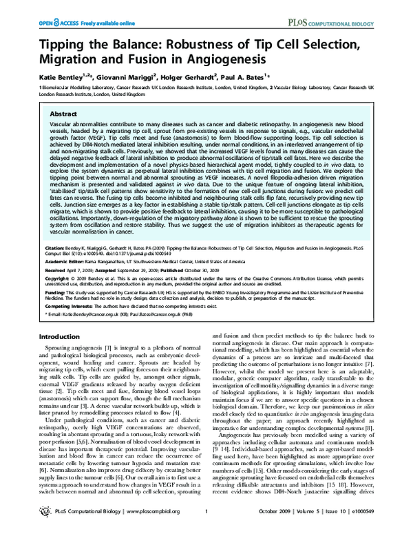 (PDF) Tipping the Balance: Robustness of Tip Cell Selection, Migration ...